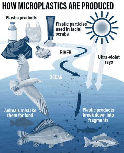 Ecolife